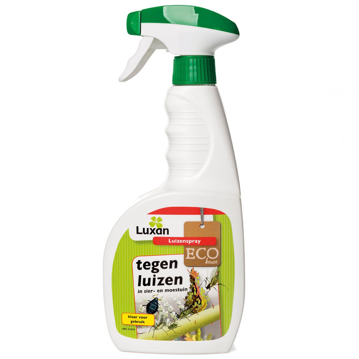 Curalia (Twist) Spray Buxus - Onlineplantenshop.nl